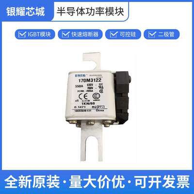 170M3122框架式熔断器 保险丝 巴斯曼 数量充足批次22+