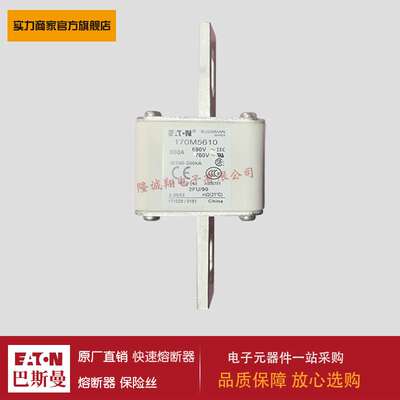 熔断器170M5698 170M5699 170M5700 170M6688 170M6689 170M6690
