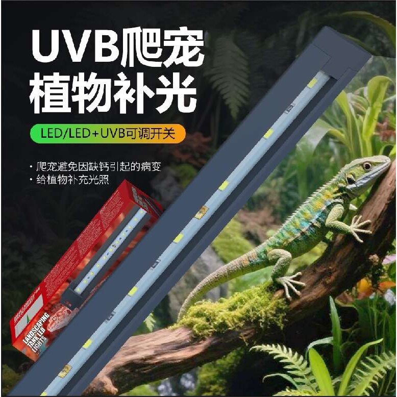 爬宠LEDUVB10.0鬃狮变色龙陆龟灯水龟植物发色小型晒背灯具