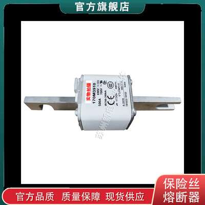 170M3901 3902 3903 3904 3905 巴斯曼bussmann快速熔断器保险丝