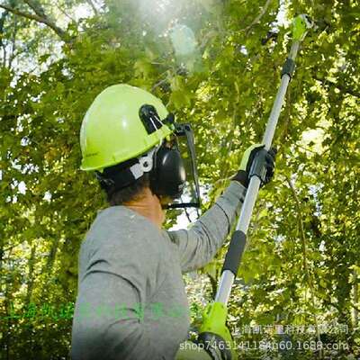 高枝锯 PSF401园艺果树杆锯40V高枝电锯电力修枝锯伸缩锯