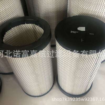 RS3700XP 106-3969 AF25262发电机组空气滤芯 厂家现货供应