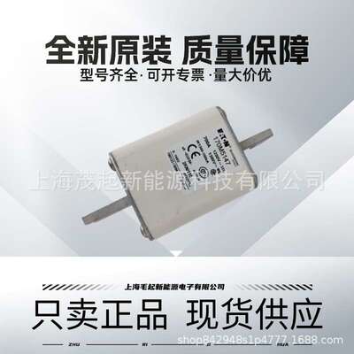 170M5147 170M5140 170M5146 170M5191 170M5198 bussmann熔断器