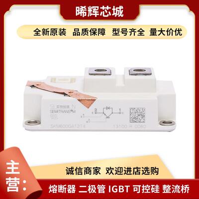 SKM600GA12T4 SKM600GA12E4 功率半导体igbt 晶闸管 电子元器件