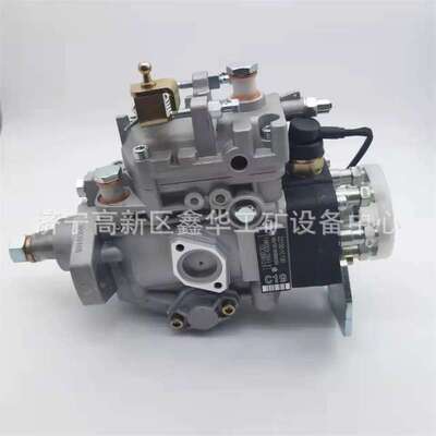 发动机配件22100-1C080 221001C080 22100-1C050 221001C050油泵