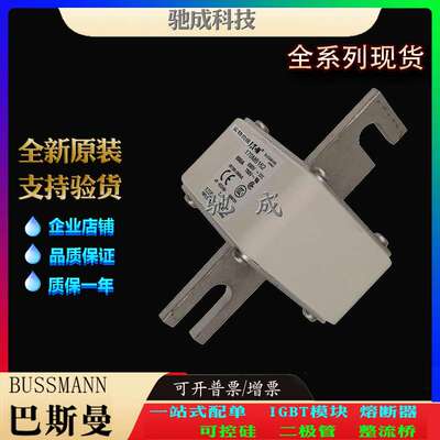 巴斯曼170M6167 170M6168 170M6169 现货供应 价优 方体熔断器