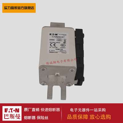 熔断器170M4247 170M5238 170M5239 170M5240 170M5241 170M5242