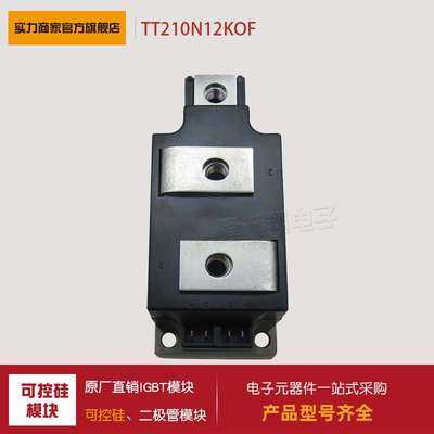 TT210N 215N 240N08 12 14 16 18 24 28 30 32 34 36KOF可控硅