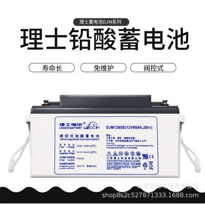 理士电池DJM1265S 不间断电源电池理士12V65AH EPS电源铅酸蓄电池