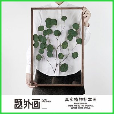 植物标本装饰画树叶教具幼儿园干花胡桃木手作摆件画框手工客厅