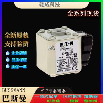 巴斯曼170M3458 170M3459 170M3460 原装进口直销价优 快熔保险丝