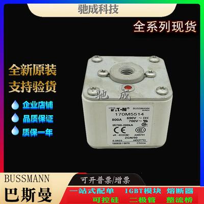 巴斯曼170M5561 170M5562 170M5563 销售供应零售 快速保险丝