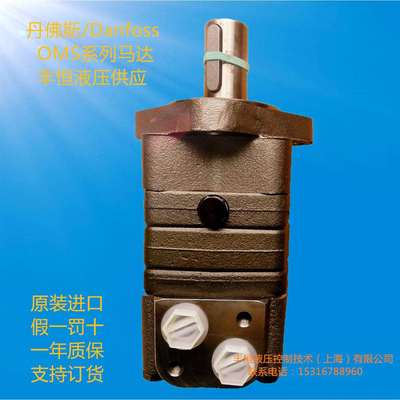 萨奥 大扭矩液压马达 行走 OMS250 液压旋转马达 起网机