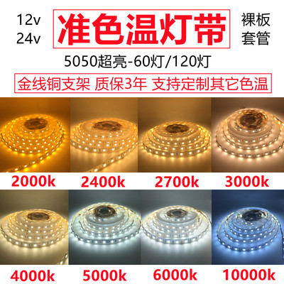 12v色温灯带24v1800k2000k2400k2700k3000k4000k5000k6000k8000k