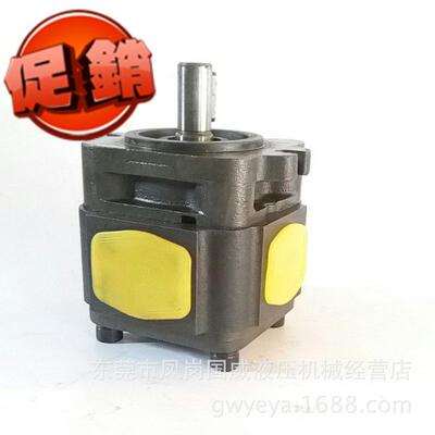 BIG50100液压泵 齿轮泵 内啮合齿轮泵HDS原装替代HESAPP 齿轮泵