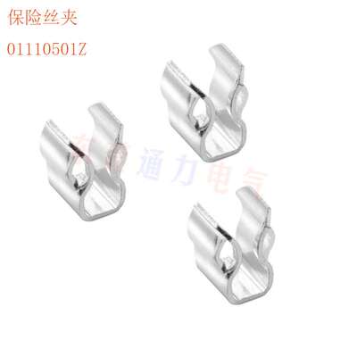 保险丝 夹 10 A 250V 1 电路 盒 通孔 01110506Z