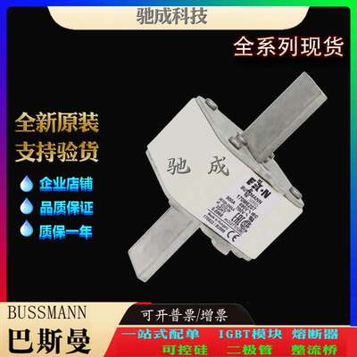 巴斯曼170M6207 170M6208 170M6209 长期 出厂价格 快熔保险丝