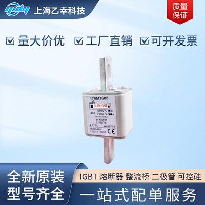 巴斯曼熔断器 170M4247 170M4258 170M4259 170M4260 170M4261