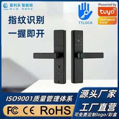 跨境酒店民宿通通锁入户一握开指纹密码电子锁智能锁酒店民宿专用