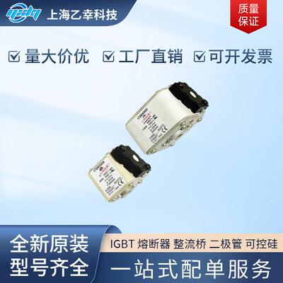 巴斯曼熔断器 170M3772 170M3773 170M3808 170M3809 170M3810