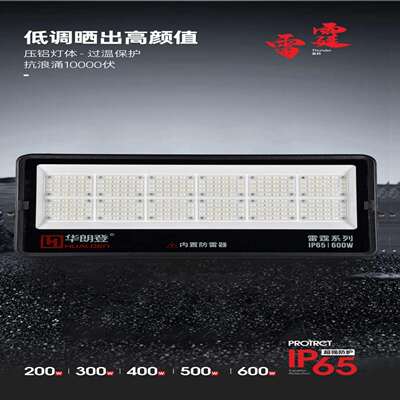 广东华朗登雷霆系列高杆灯投光灯高亮耐用户外照亮灯庭院灯工程灯