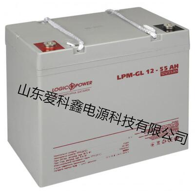 Logicpower蓄电池 LPM-GL12-55AH 12V55AH 铅酸免维护电池