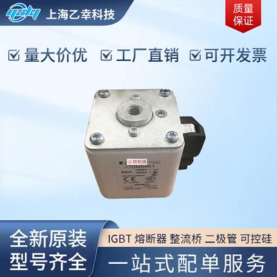 巴斯曼熔断器 170M5959 170M5960 170M5961 170M5966 170M5967