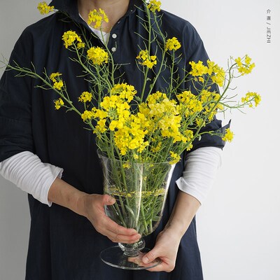 介直 Big Vase高透玻璃大号花瓶F 法式中古感鲜切插花透明家居摆