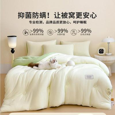 类大豆纤维被子人被芯四A季通用学宿0012舍春秋被保生暖冬被单双