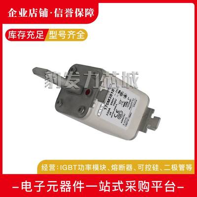 170M3951/3952/3953/3954/3955/3956/3957/3958/3959-3961熔断器