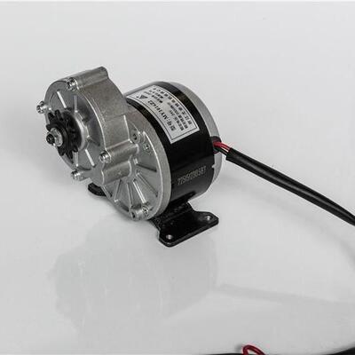 永直流减速有刷电机MY101磁64Z2-250W26VV电动自行1016Z2车配件