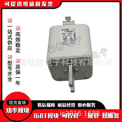 170M8600 170M8601 170M8602 170M8603巴斯曼熔断器170M8604