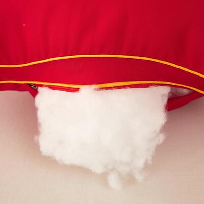 大红色情侣SSY结长枕头1.5米婚庆.婚枕内芯胆18家用水洗棉双人枕