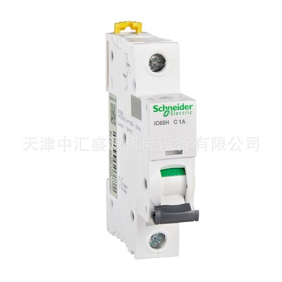 iC65H微型断路器IC65H 1P C1A空气开关A9F28101漏电断路器