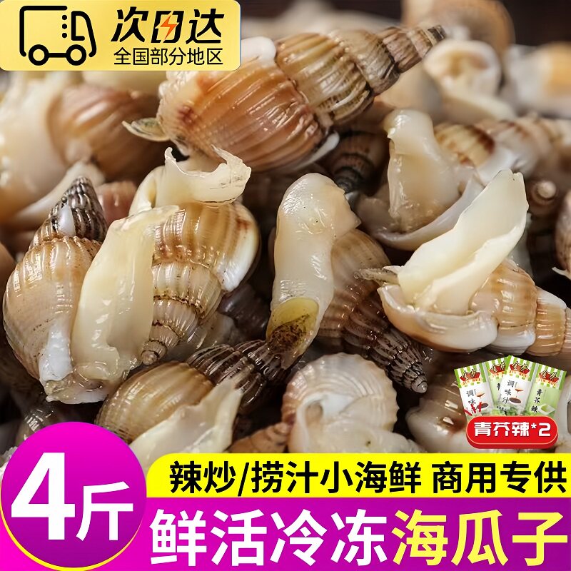 海螺丝鲜活冷冻海锥海瓜子熟冻海锥麻辣海螺丝新鲜螺商用海鲜水产