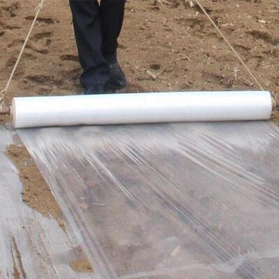 土薄膜色白地RJN农用塑料膜透明果园蔬菜大棚种植除草工程养护工