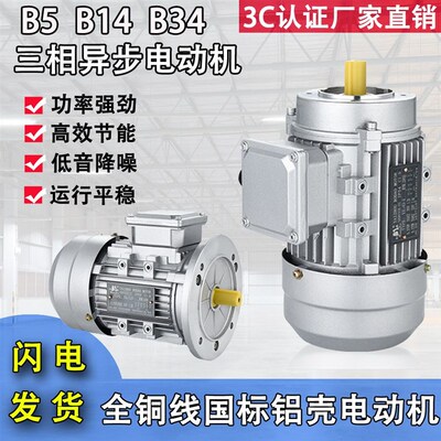 YS8014 YS8024o YS8034全铜线三相异步马达380V交流铝壳电机750W