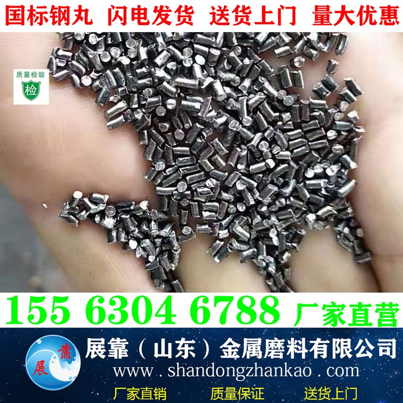 钢丝切丸标切h普切轮胎丝抛光除锈喷砂抛丸机配件大全钢丸钢砂厂