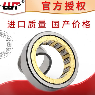 圆柱滚子轴承  NJ1005 1006 1007 1008 1009 1010 1011 1012 1013