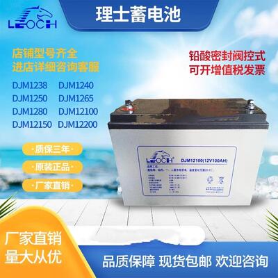 LEOCH理士蓄电池DJM1240S 12V38AH 65 100 50 80应急直流屏铅酸