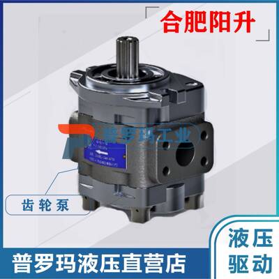合肥阳升齿轮泵CBT-F410/F412.5-ALP齿轮泵叉车机械工程车辆