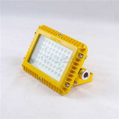 低电压20W30W40W50WLED防爆壁灯隧道防爆灯厂家24V36V管廊恒亮