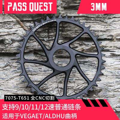 PASS QUEST 3mm Rotor曲柄 直装正负齿单盘Vegast Aldhu