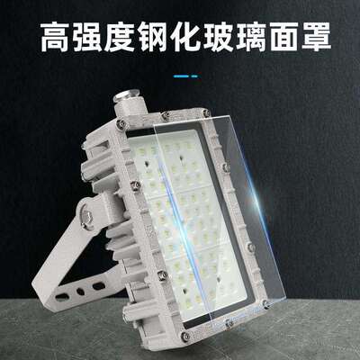 BTC8115A50W80W100W150W200W防爆LED泛光灯 投光灯 LED防爆吸顶灯