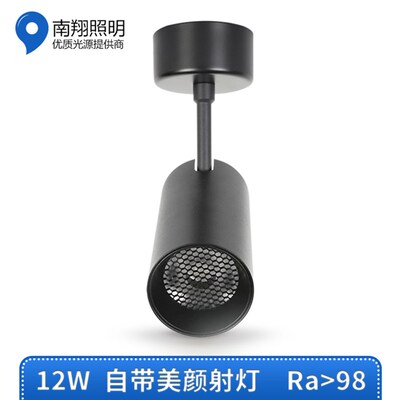 餐饮明装轨c道射灯12W2700K3000K3500K太阳光显色Ra98全光谱射灯