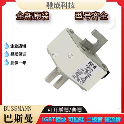 巴斯曼170M6119 170M6120 170M6121 低压保险丝诚信经营货源充足