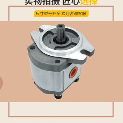 台湾钰盟2GG1P05R/7/8/9/11/14/16/18/20/22/24/26/28/30/33R油泵