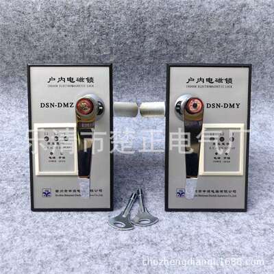 衢州申源户内高压电磁锁DSN-DMZ/DMY手柄式高压柜电门锁电控锁