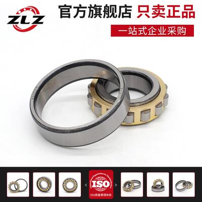 哈尔滨圆柱轴承 N 2312 2313 2314 2315 2316 2317 2318 2319 EM