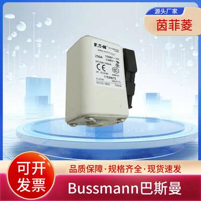 熔断器170M3394 170M3395 170M3396 170M3397 170M3308 170M3309